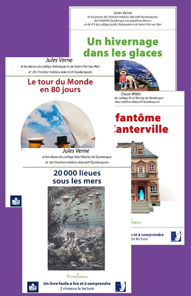 Des romans faciles à lire et à comprendre | Académie de Lille